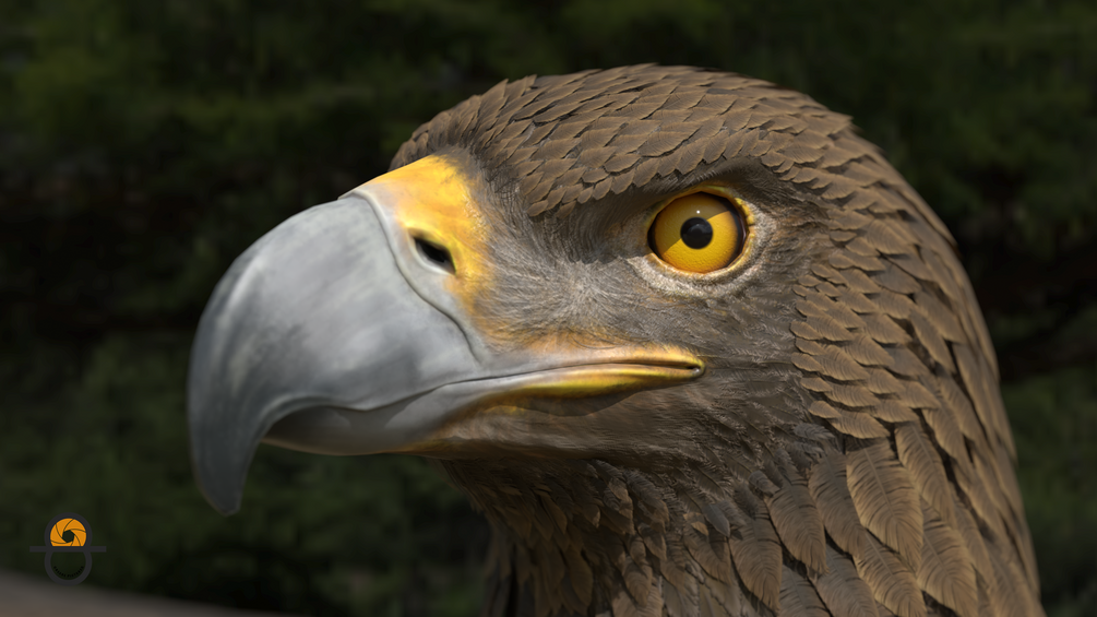 Golden Eagle (Textures + Rig)