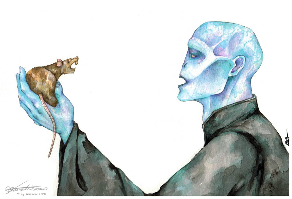 Wormtail & Voldemort