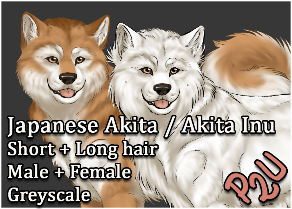 Akita Inu Base