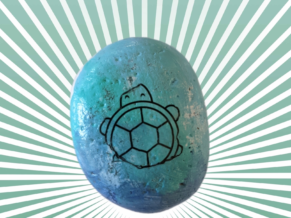 Sea Turtle #8 - Painted Rock & NFT