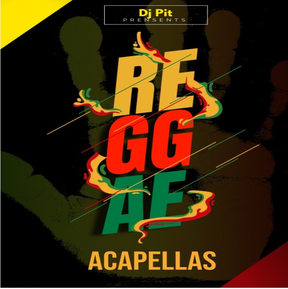 Reggae Hits Vol . 3 - Dj Pit