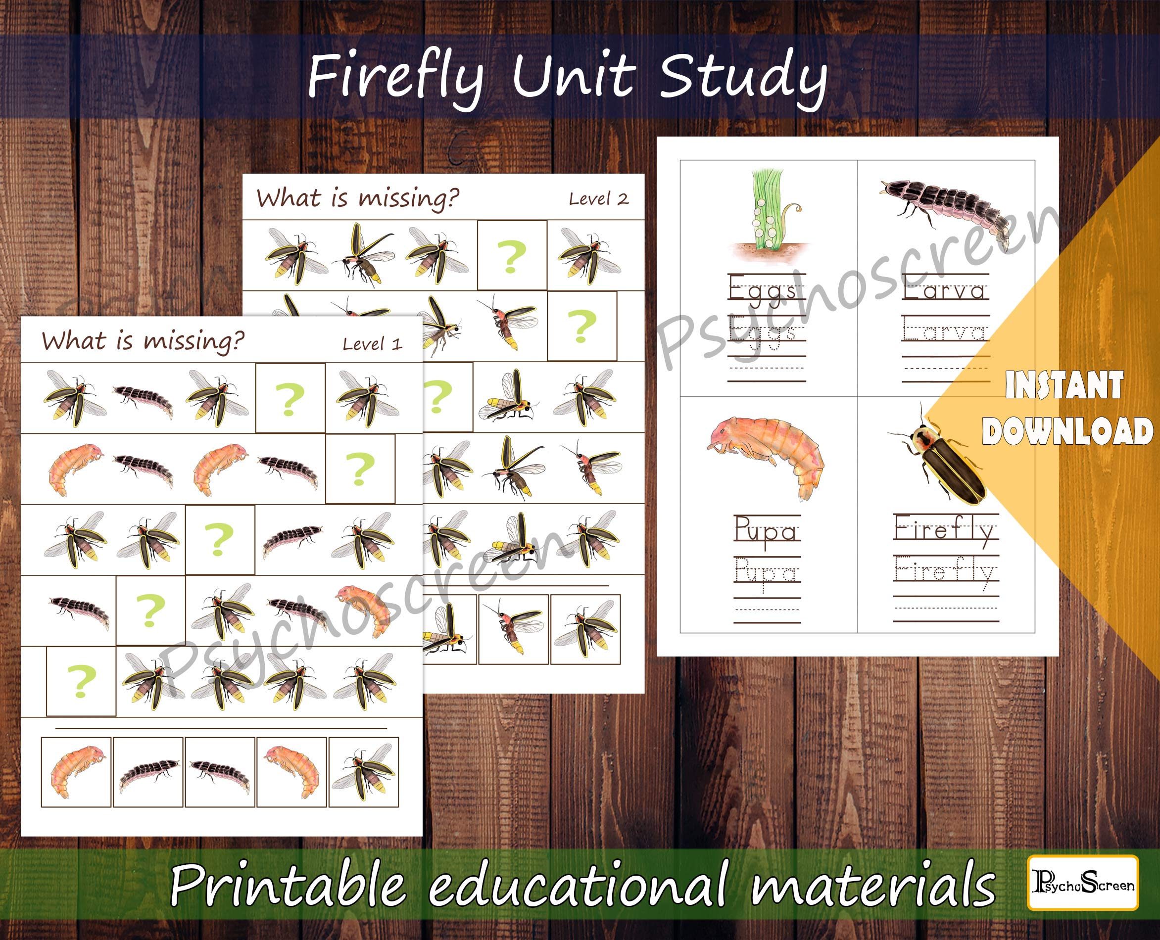 FIREFLY Unit Study: MEGA Printable fireflies set, Lighting bugs, insects