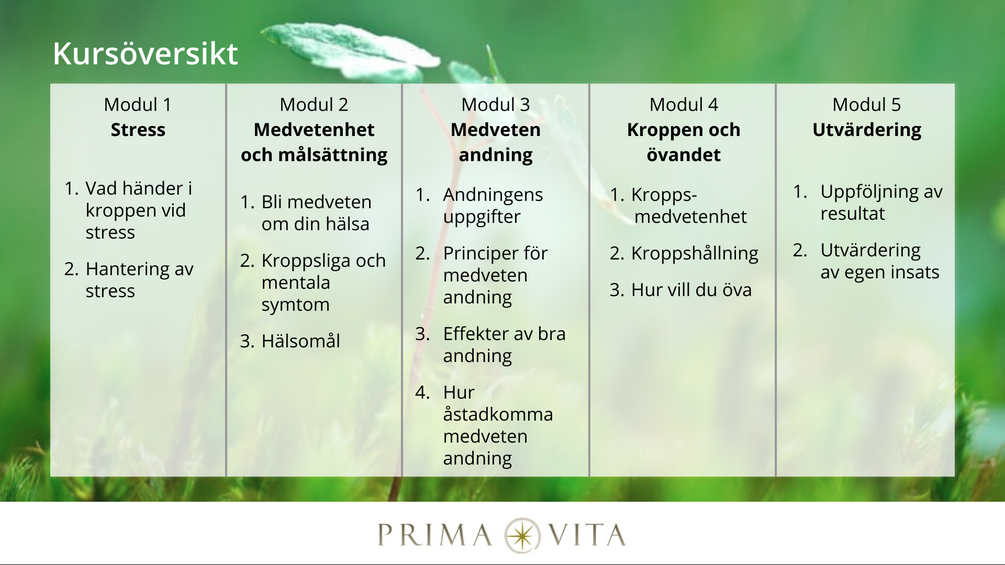 Stresshantering med medveten andning - Få mer energi och ork för att ...