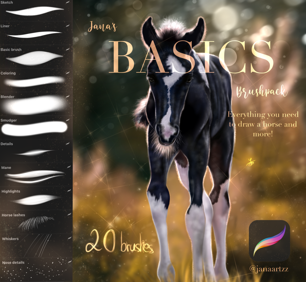 Jana’s 𝐁𝐚𝐬𝐢𝐜𝐬 (20 brushes for Procreate)