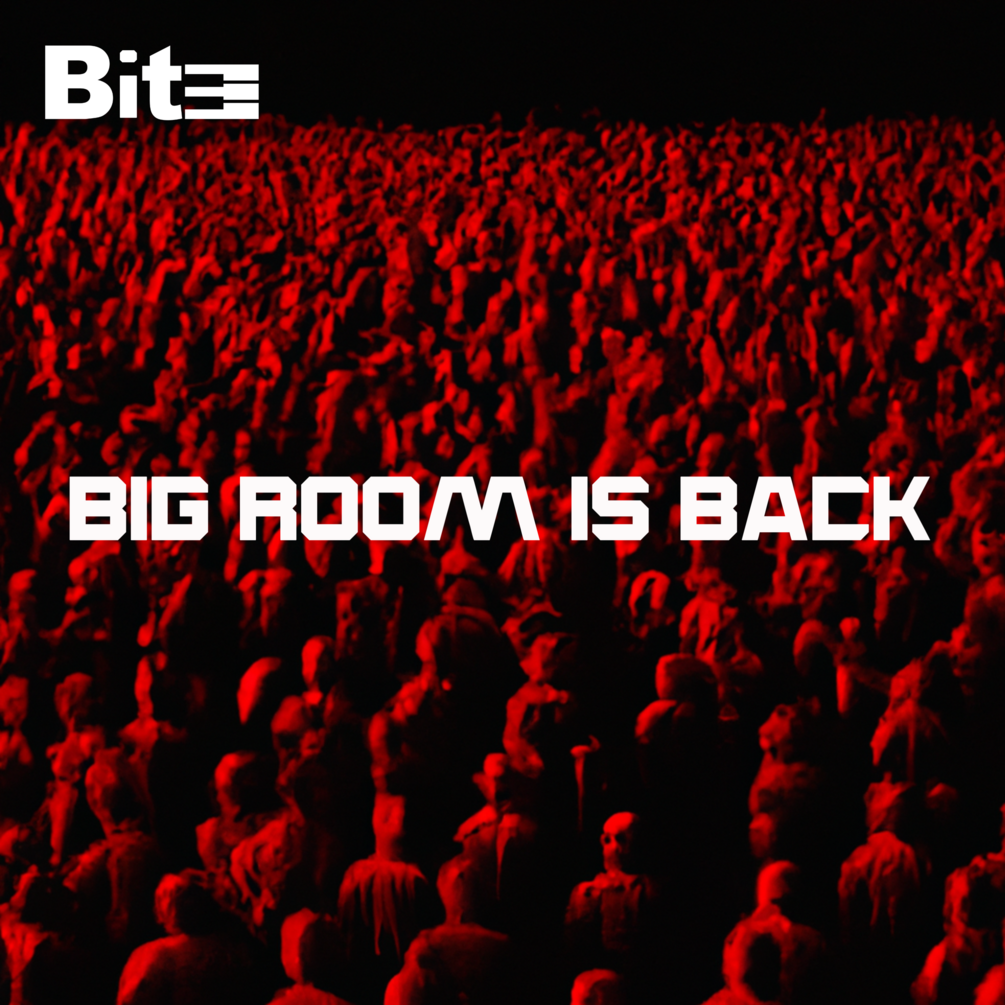 Bit3 - BIG ROOM IS BACK (STEMS)