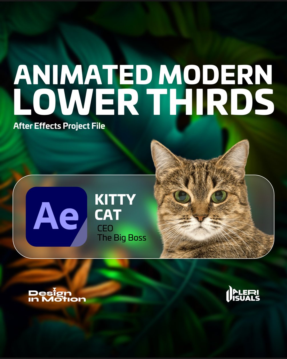 Modern Animated Lower Thirds