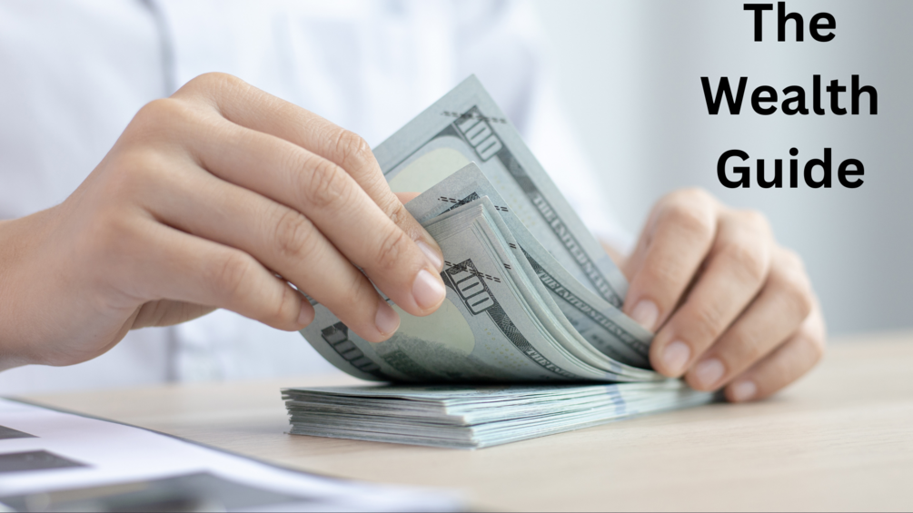 THE WEALTH GUIDE