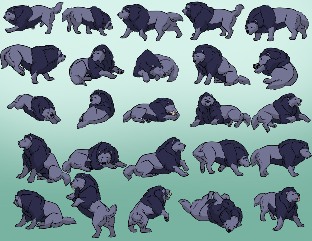 Dire Tokota Barbary Mane HP Sheet 1