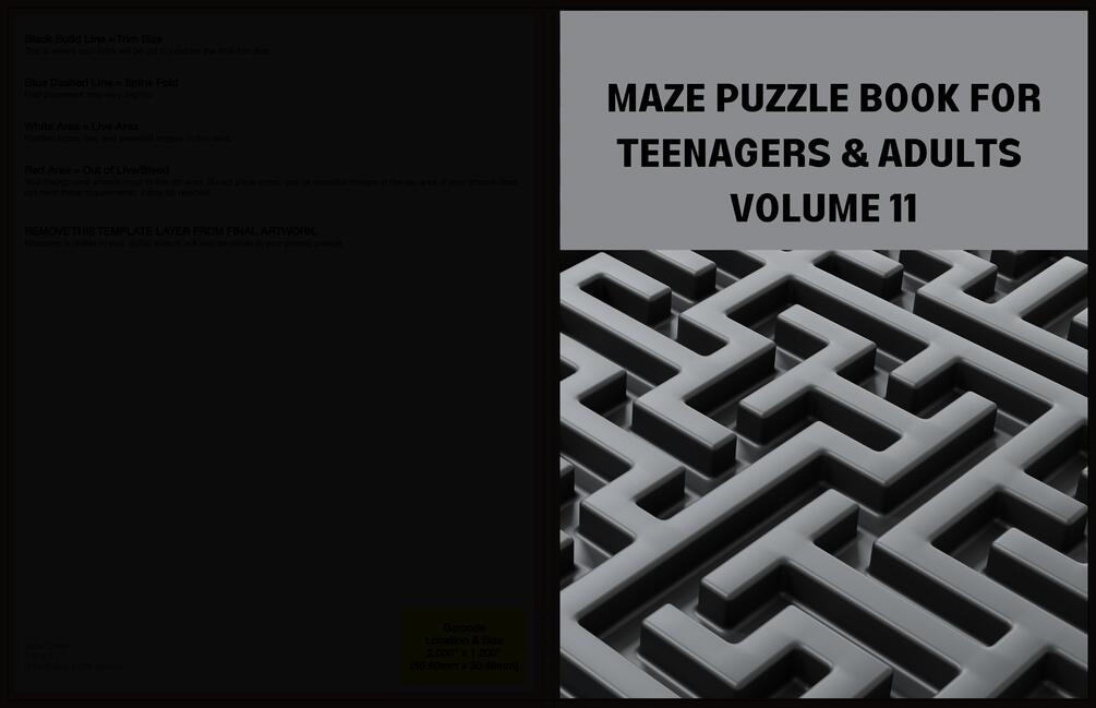 MAZE PUZZLE BOOK FOR TEENAGERS AND ADULTS VOLUME 11