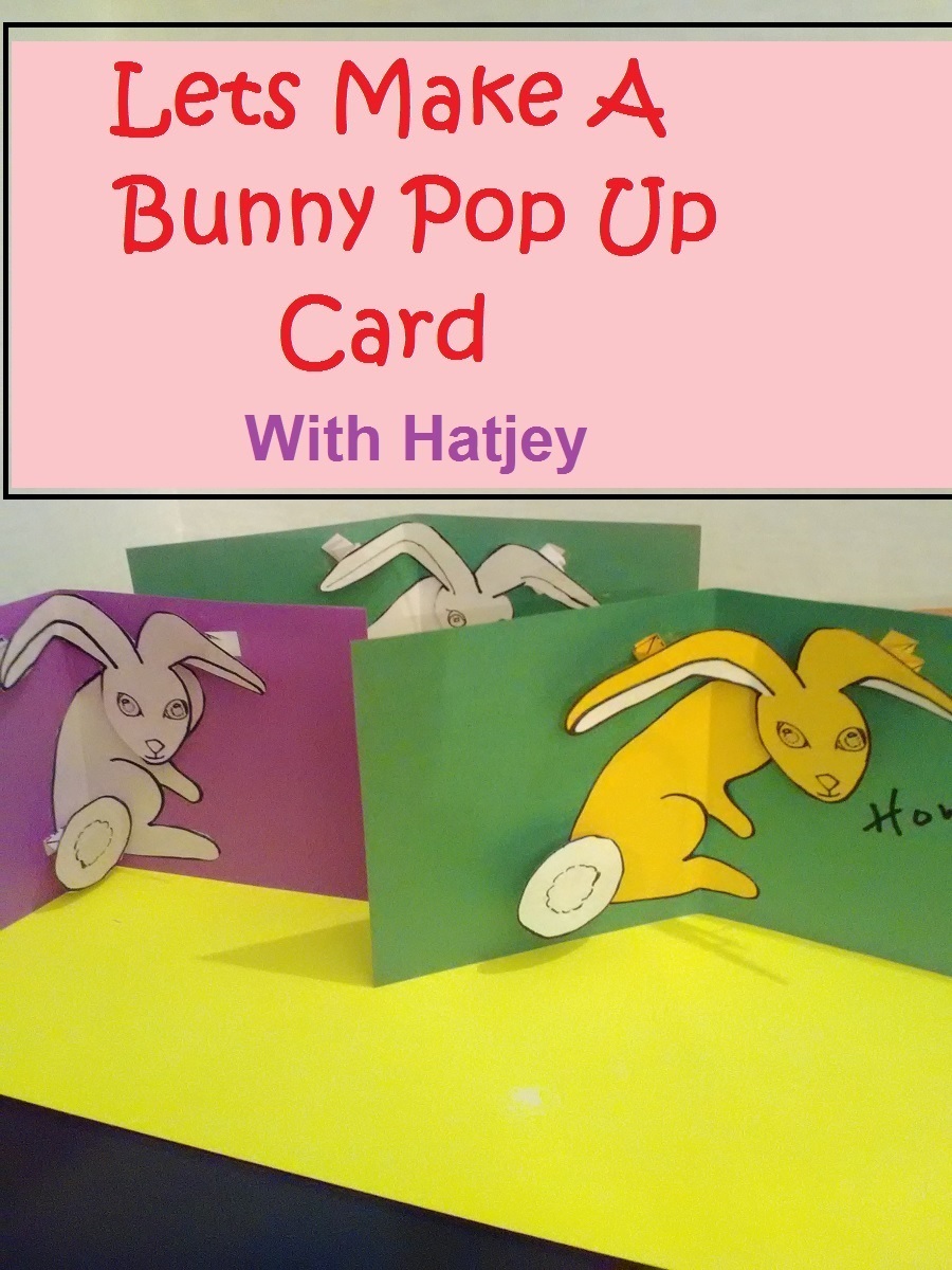 Bunny Popup Project Book