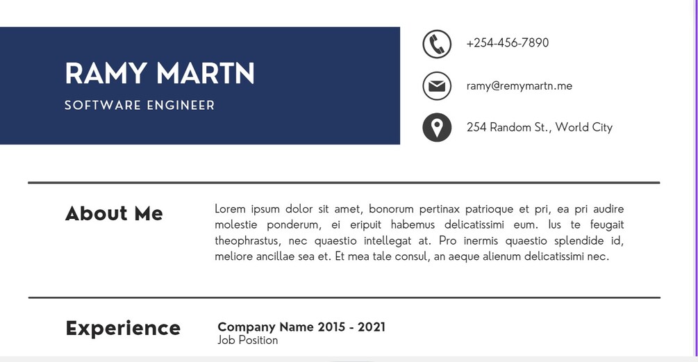 Professional Resume Template