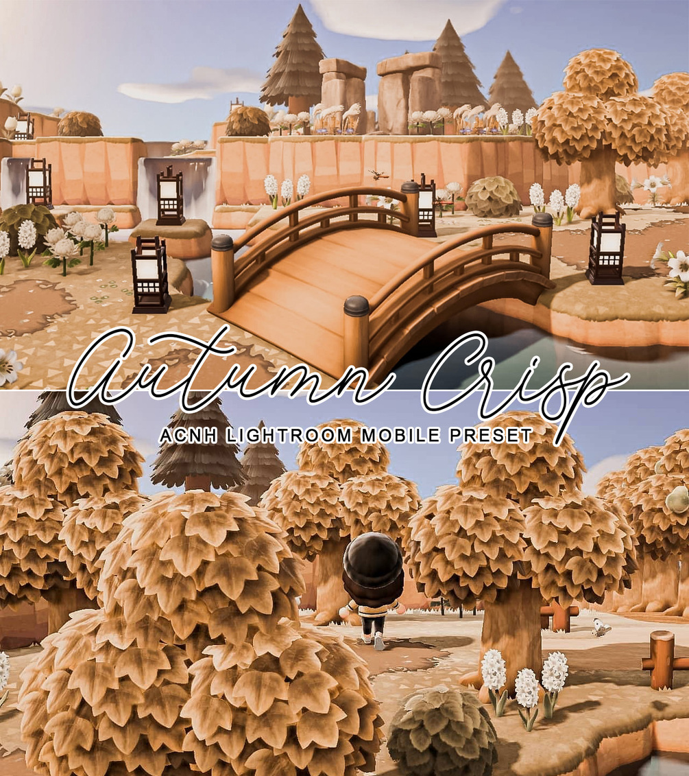 ACNH Presets x Honeyduke