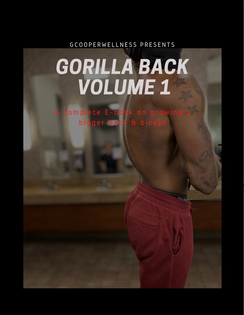 Gorilla Back Vol. 1