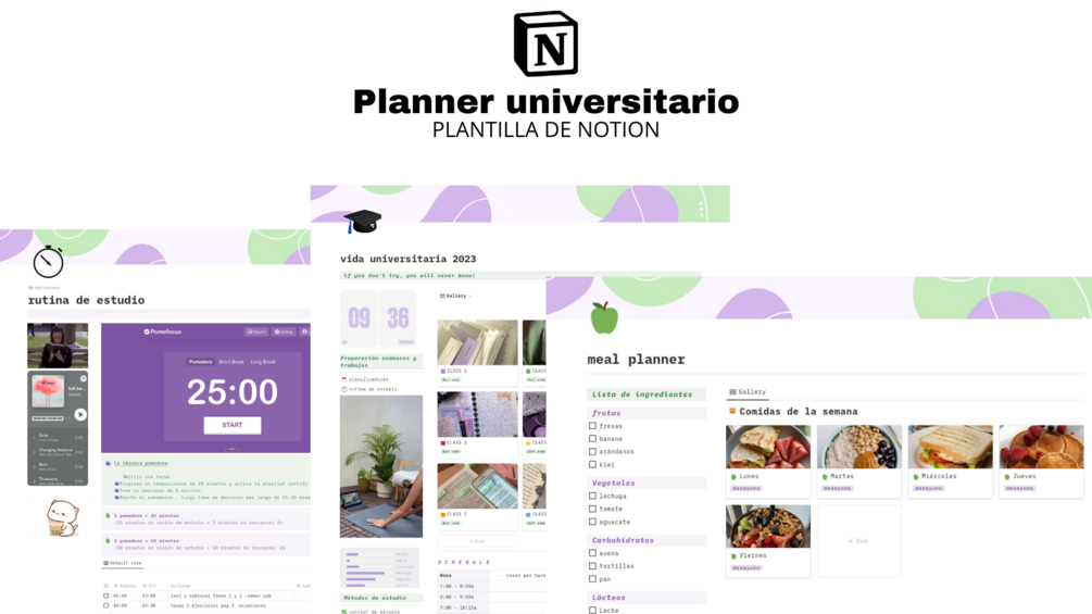 planner universitario lila