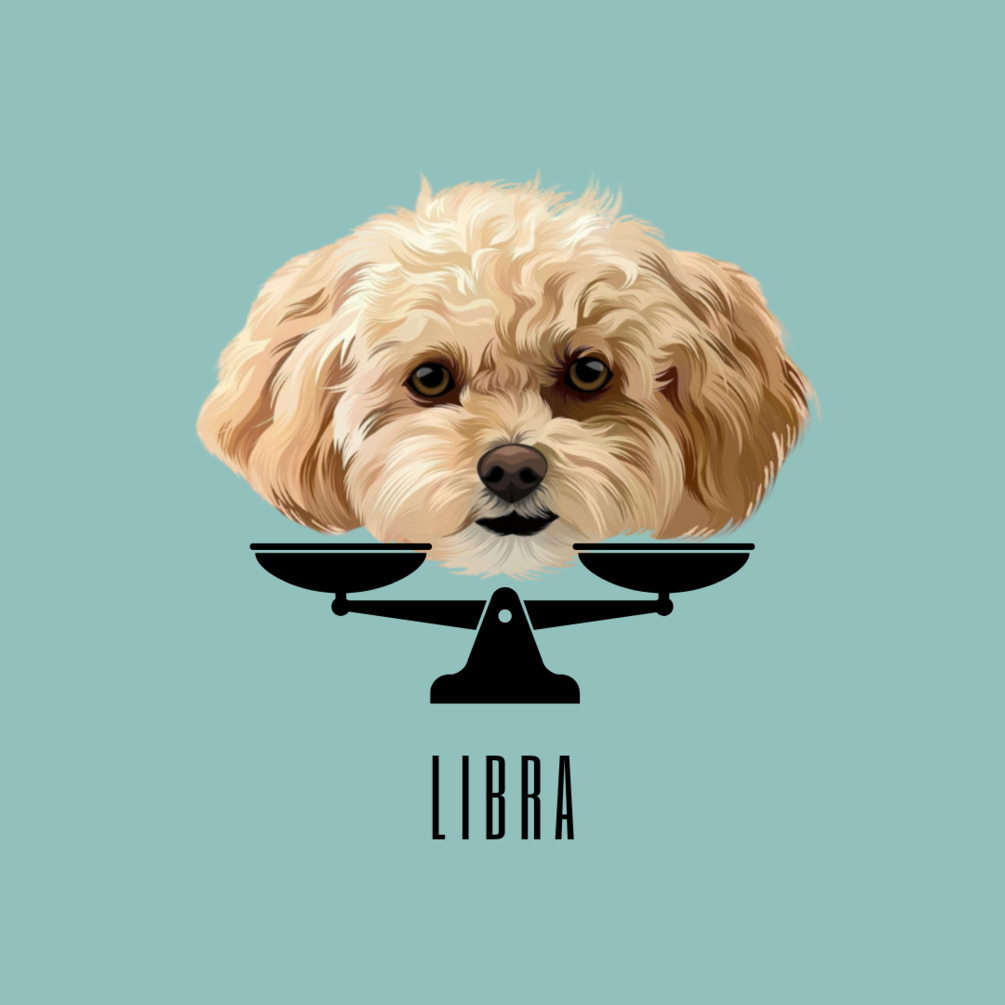 LIBRA: It's Not Too Late! - DEEP DIVE