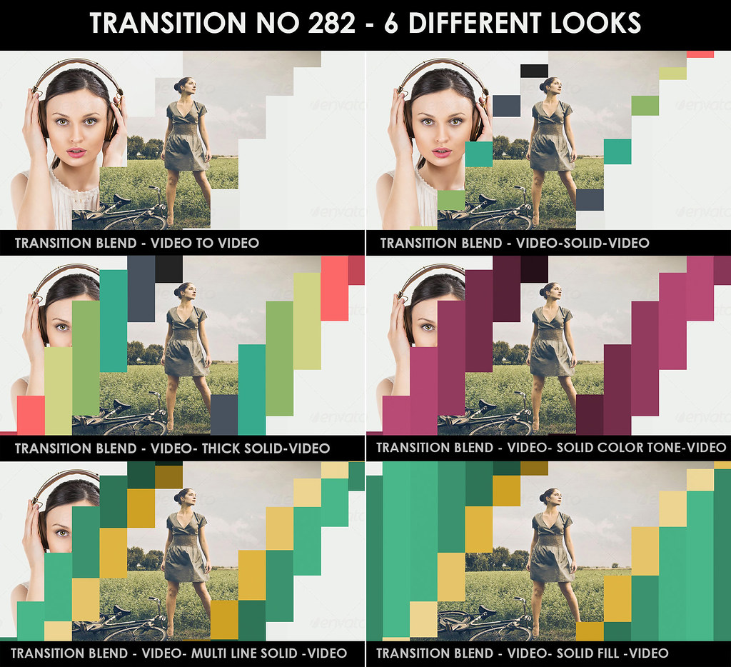 365 Transitions