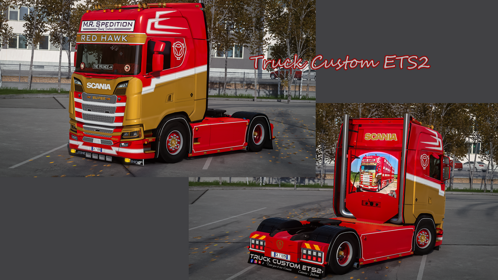 Skin Pack Scania R - S NL-FR-DK V4