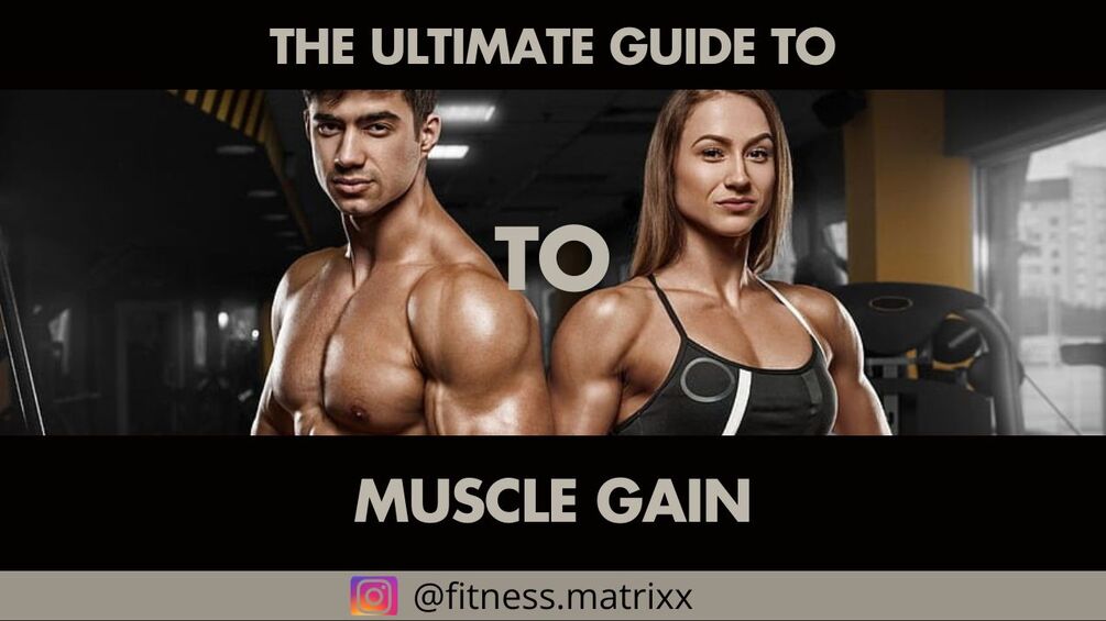 Ultimate Guide to Muscle Guide