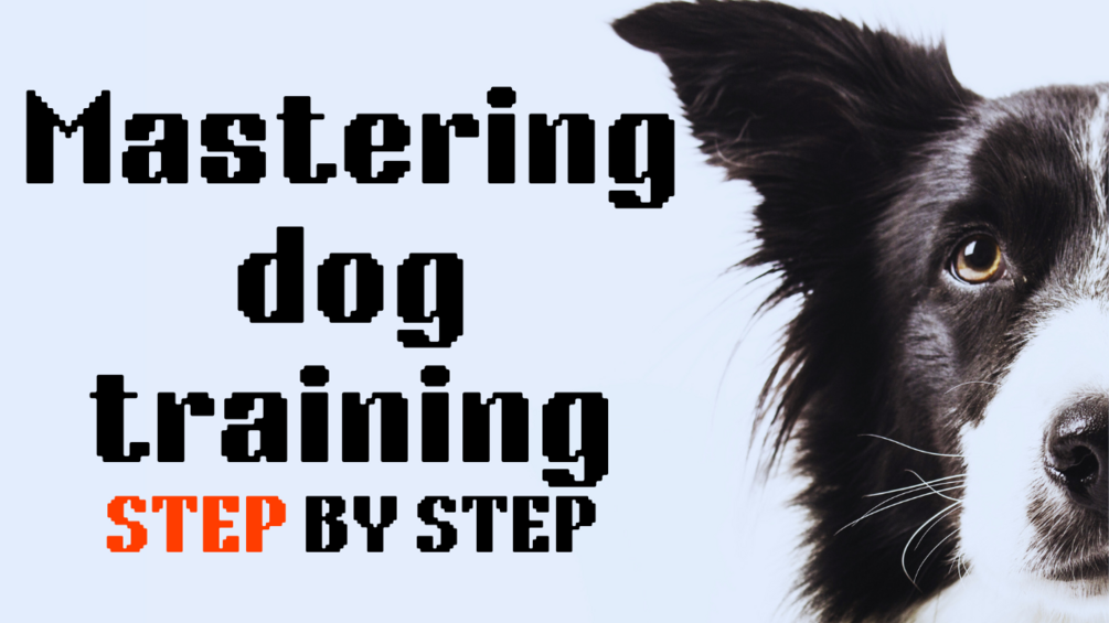 Mastering dog training