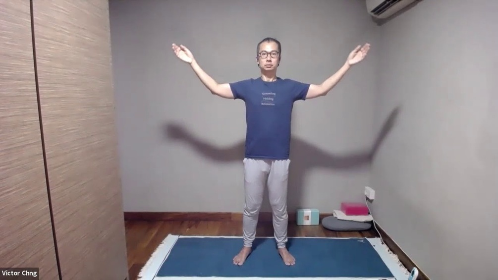 Basic Qigong & Swimming Dragon Practice | Session 4