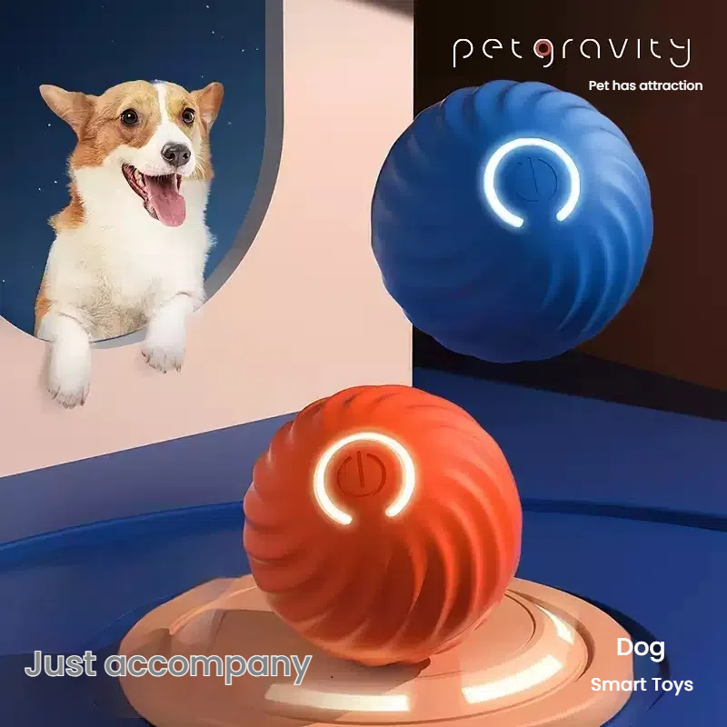 Unleash Endless Fun and Adventure with Pet Gravity!