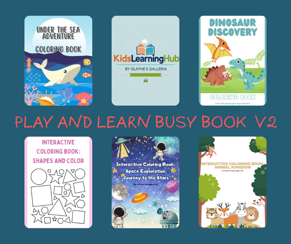 Play and Learn Busy Book V2 (Bundle of 5)
