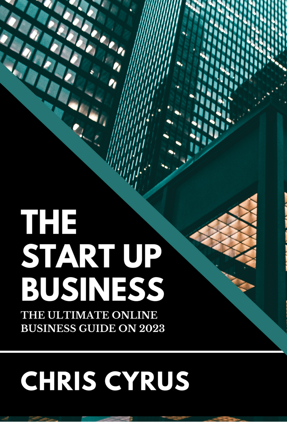 The Start Up Business