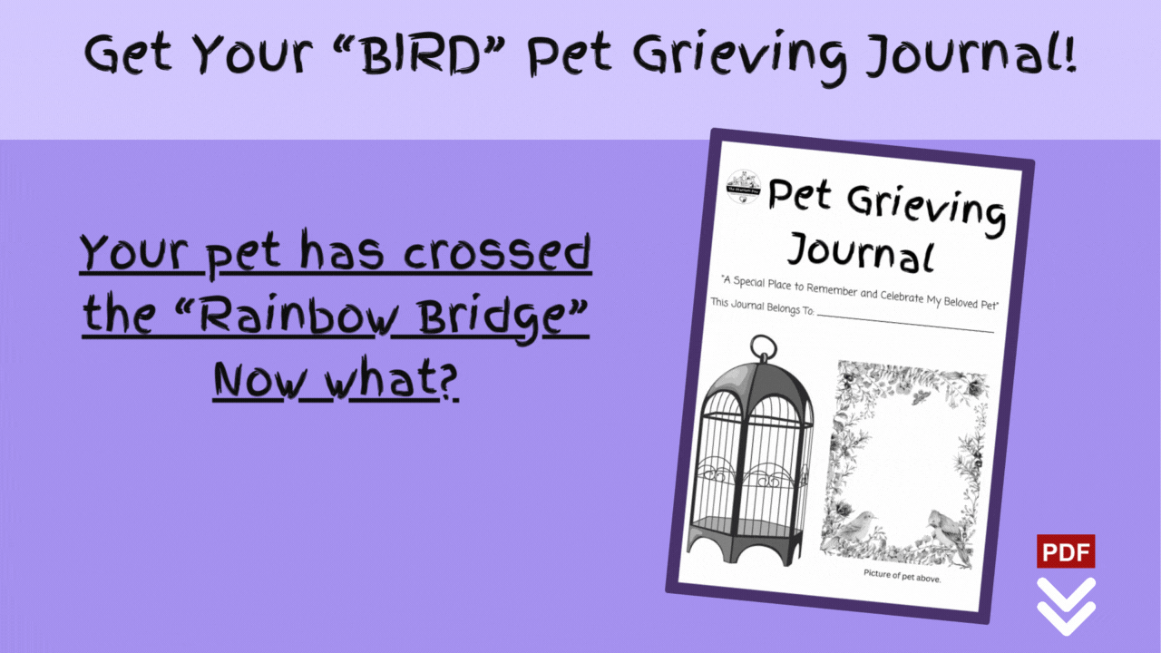 Pet Grieving JOURNAL for BIRDS