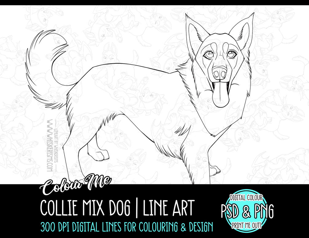 F2U | Line Art | Collie Mix Breed Dog