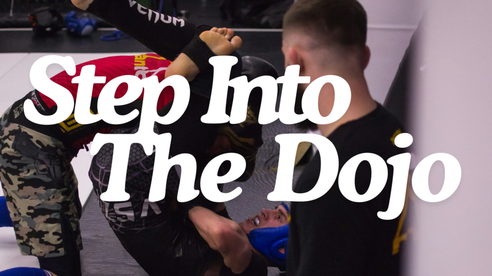 Step Into The Dojo