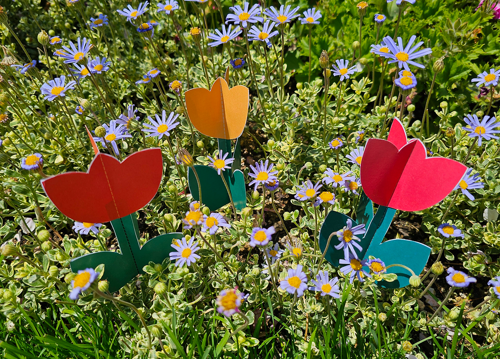 3D Tulip Flower Craft for Mother's Day