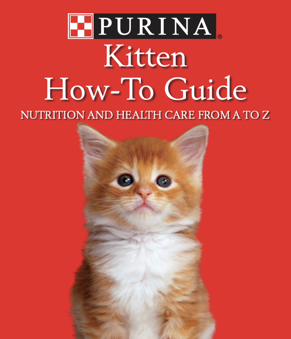 Kitten How-To Guide PDF