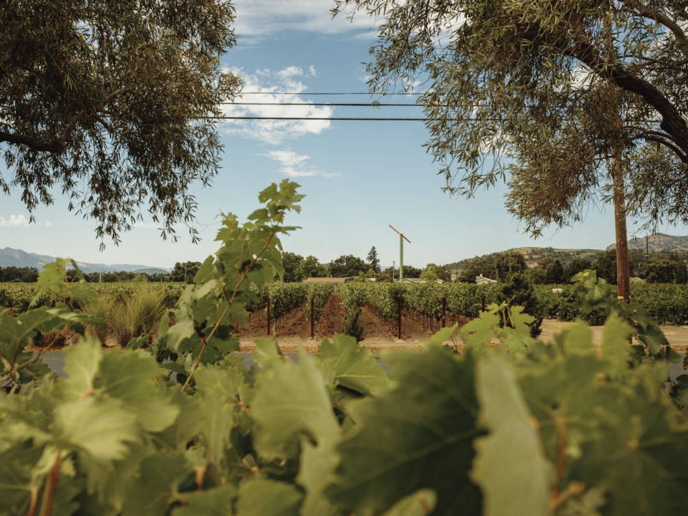 Lightroom Preset - GT01