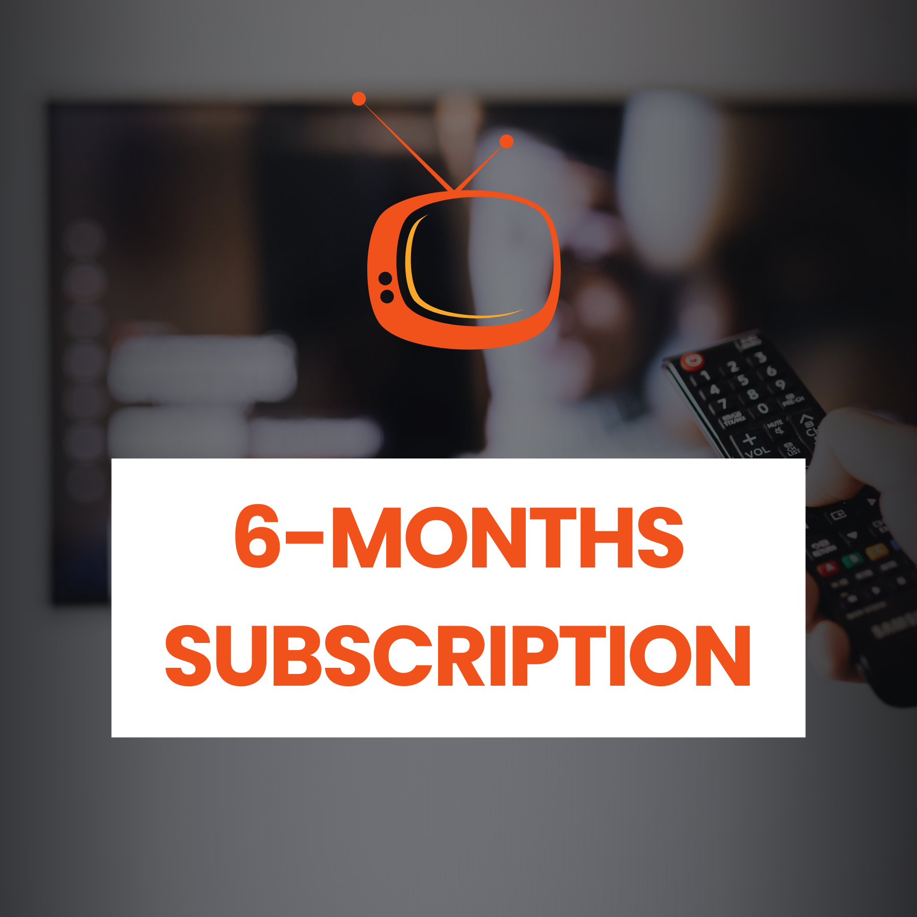6 months subscription