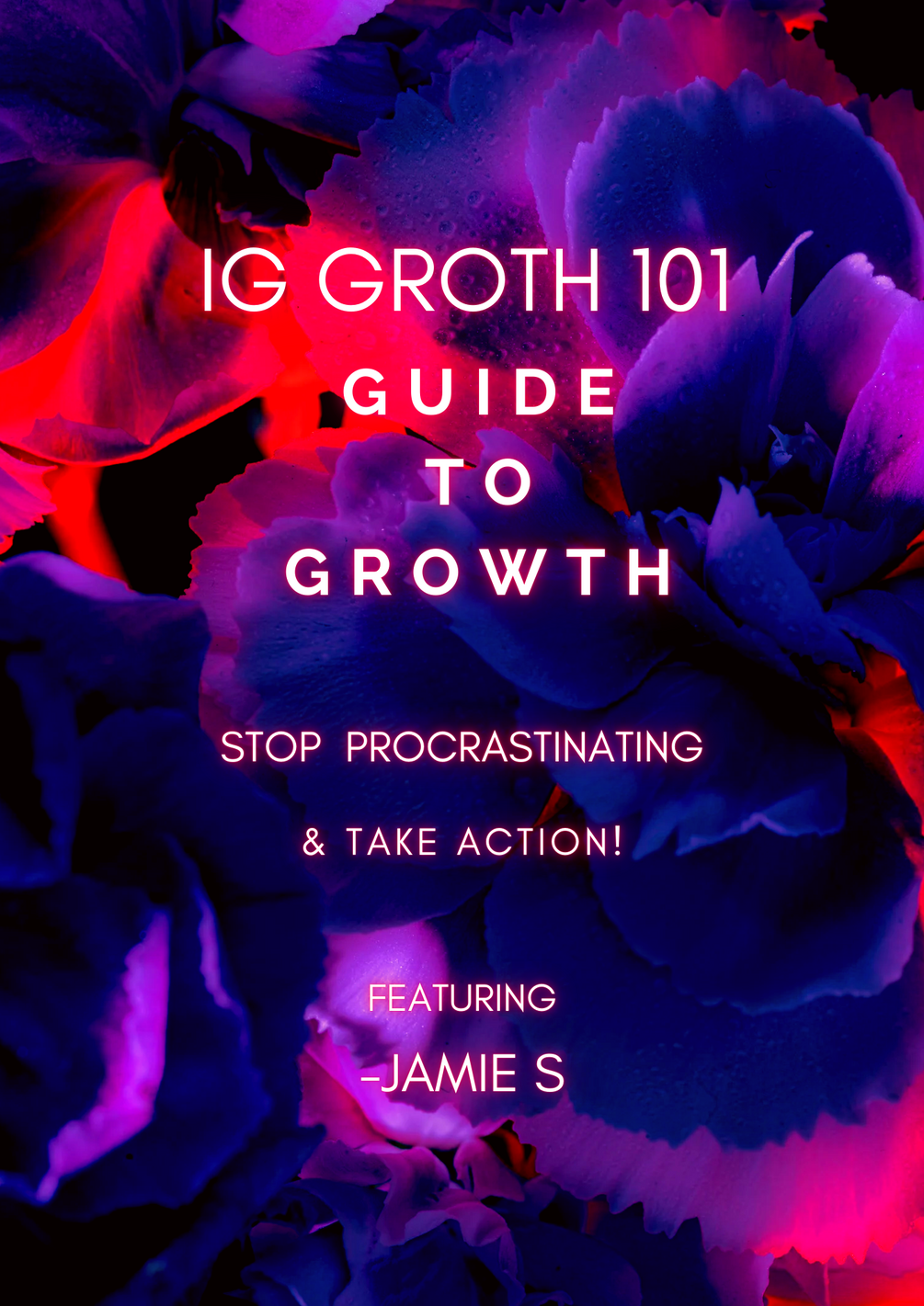 They ultimate guide to IG growth.