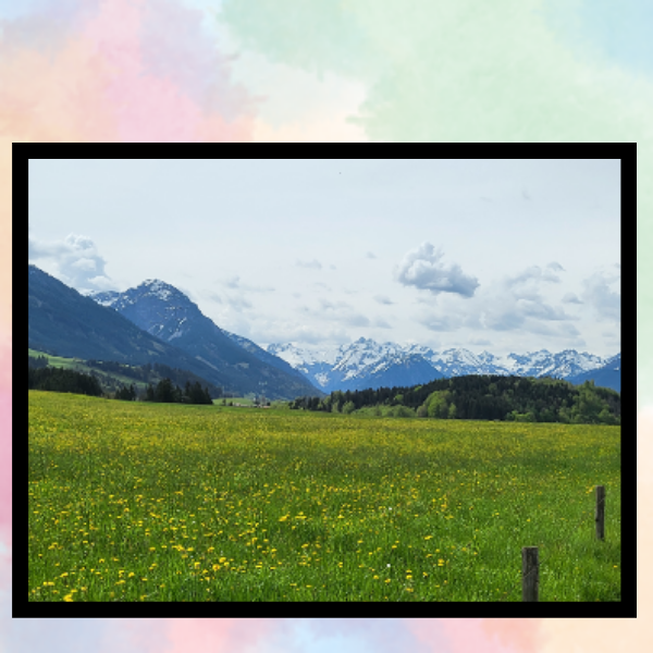 Enhanced Matte Paper Framed Poster (in)