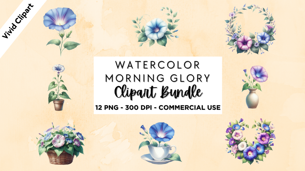 Watercolor Morning Glory Clipart Bundle