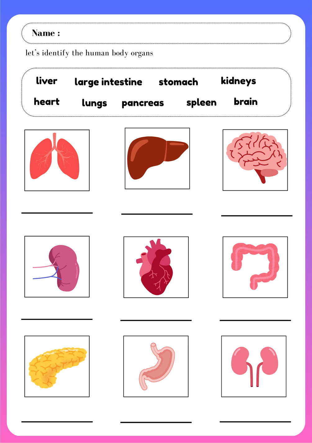 Human Body : Learn & Play Busy Book