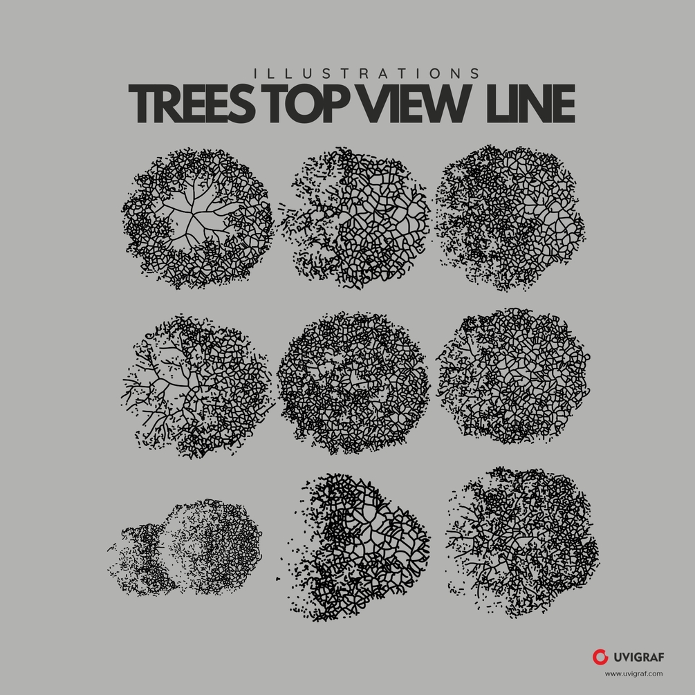 Trees Top View – Line Art Vector Trees for Architectural Design | t3.37