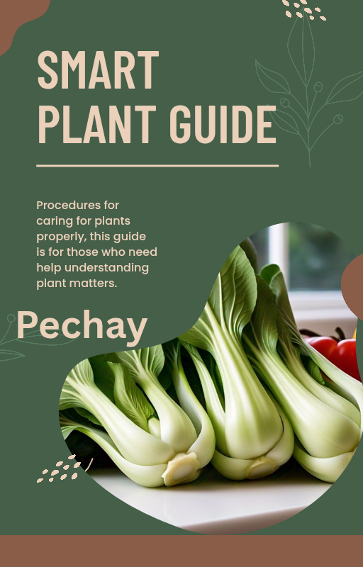 How to Plant Pechay Vegetable