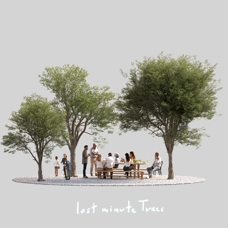 3D Still Trees - Broadleaf