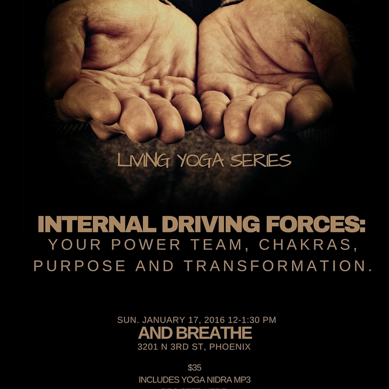 Internal Driving Forces workshop