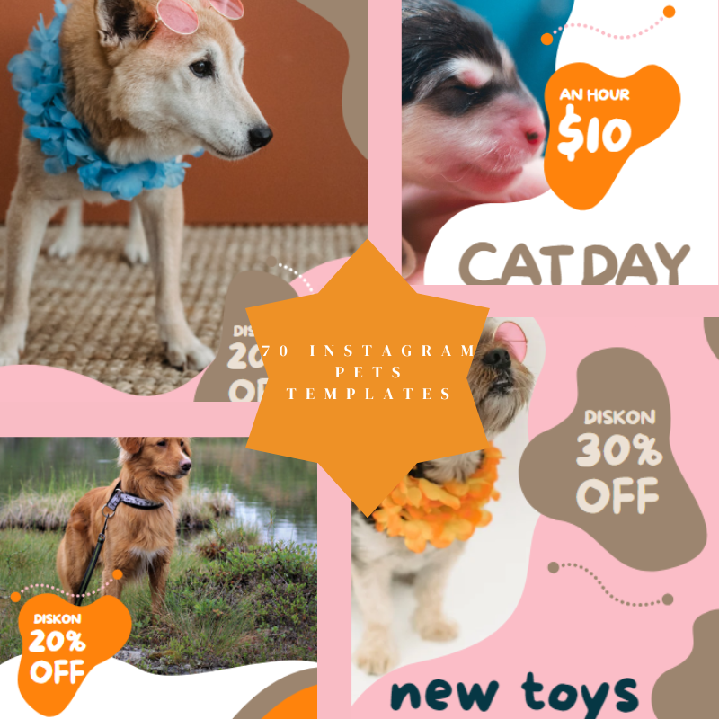 70+ Instagram Pets templates (editable&easytouse)