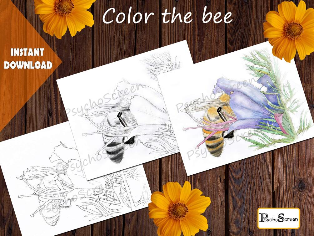 HONEY BEE Learning material, Printable set for coloring and learning ...