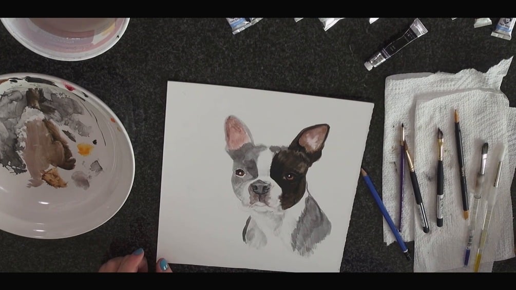 Boston Terrier Dog Portrait with Vanda Lavar (Watercolor)