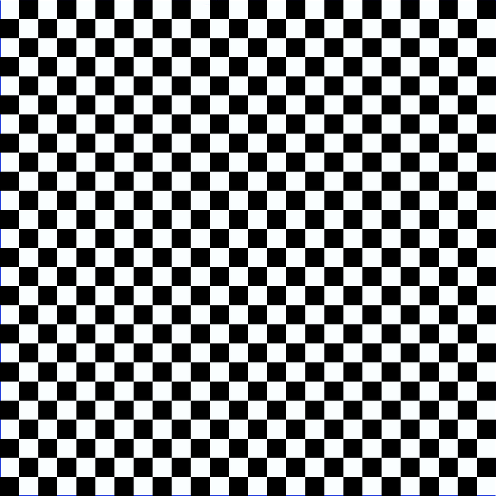 DIGITAL PRINT: Black Checks