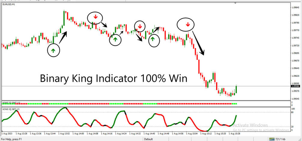 Binary King Indicator | 5 Minute Trade | 100% Profitable