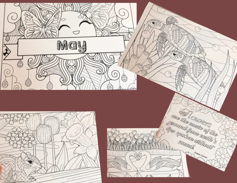 30+ pages of Adult Coloring for all Skill Levels