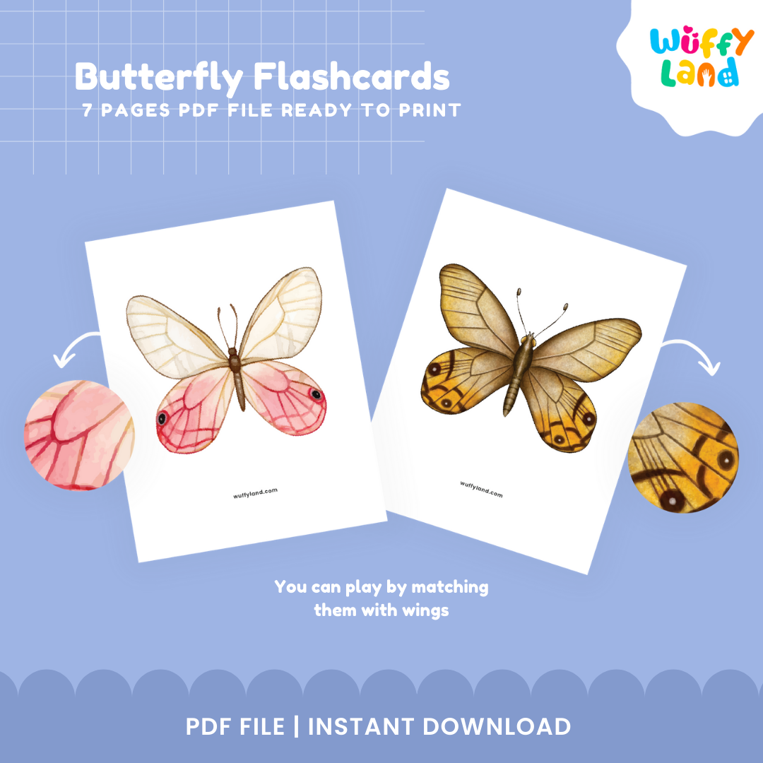 Butterfly Flashcards – Beautiful Printable Set for Kids & Educators!