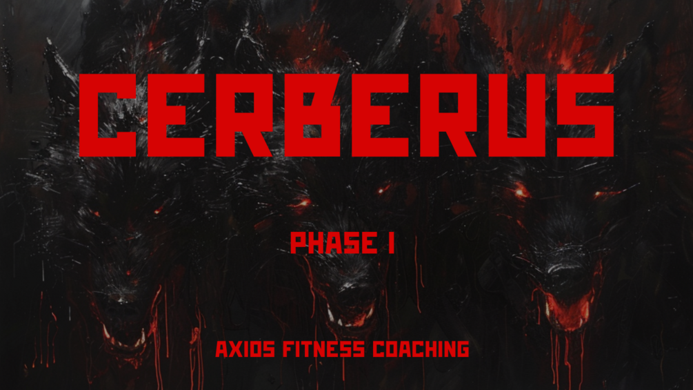 CERBERUS - PHASE I